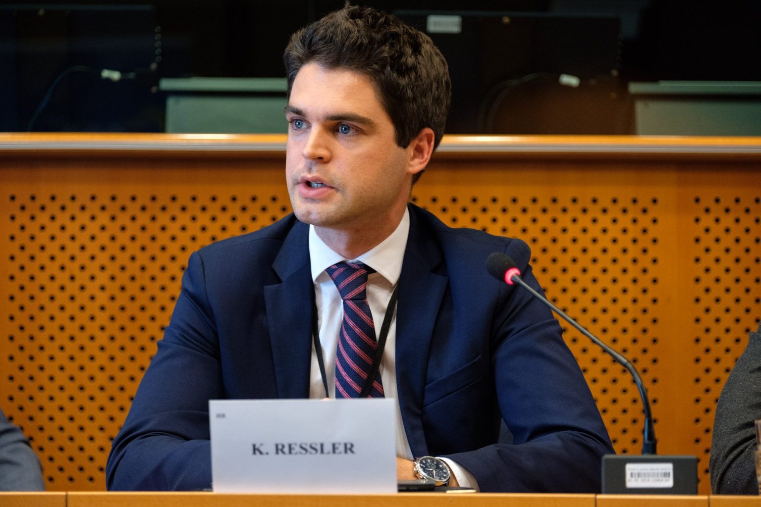 RESSLER: Federalni princip i legitimna zastupljenost naroda jedini ...